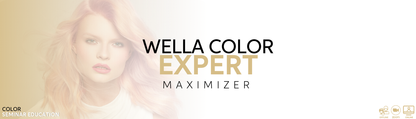 WCE MAXIMIZER CRAFT - OFFLINE